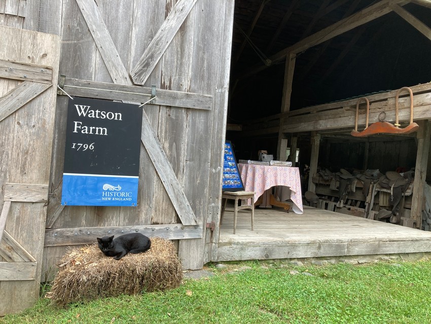 Tour the Watson Farm Landscape | Historic New England