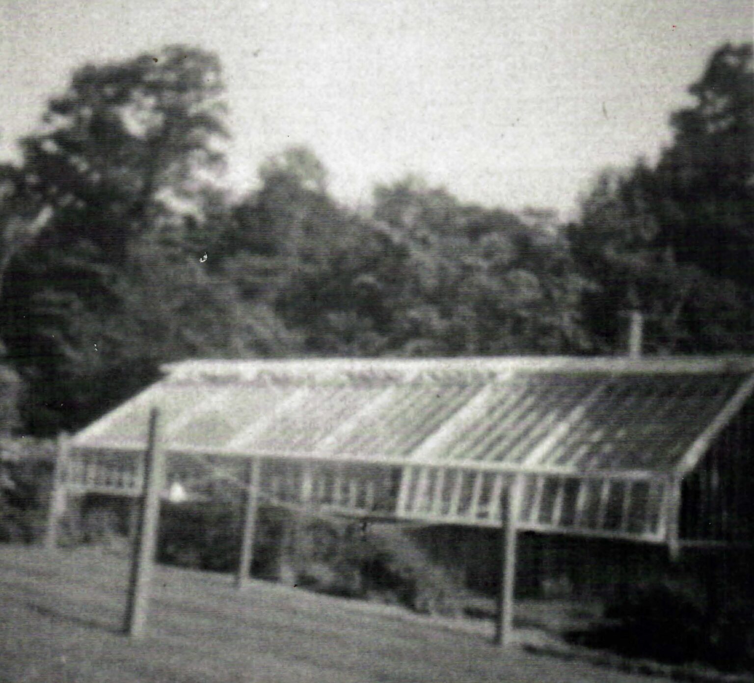 Tour the Codman Estate Landscape | Historic New England
